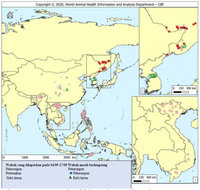 AN46 Fig3 Indo | ECHOcommunity.org